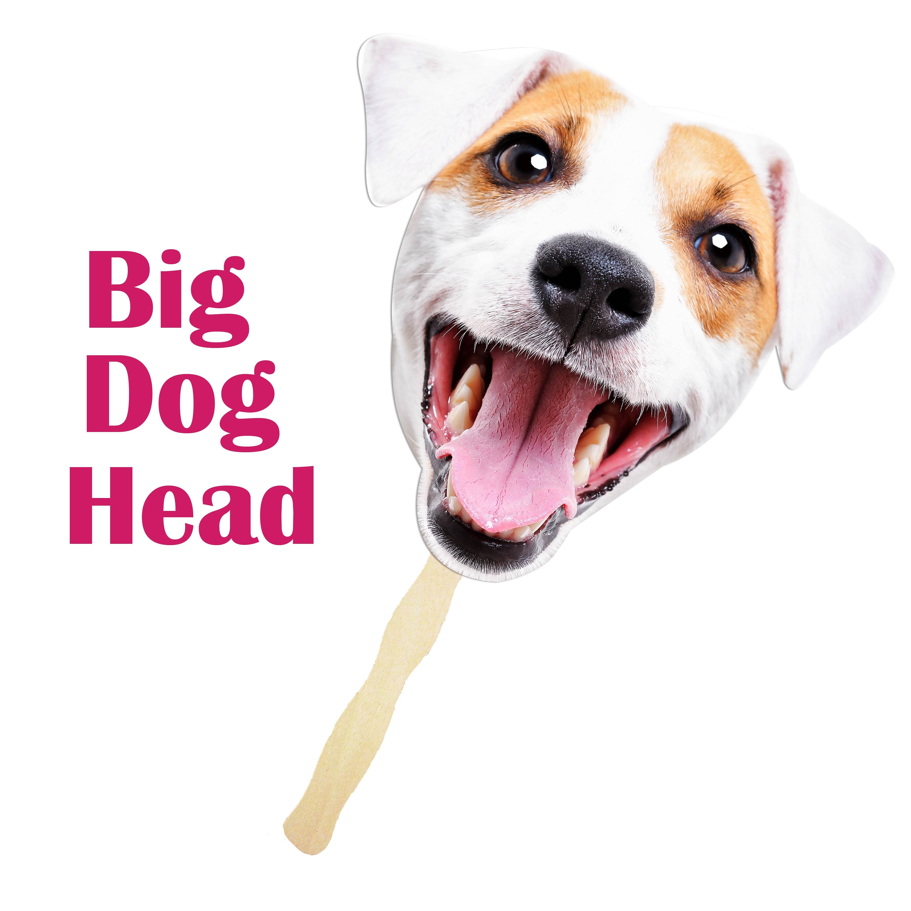 Big dog head store