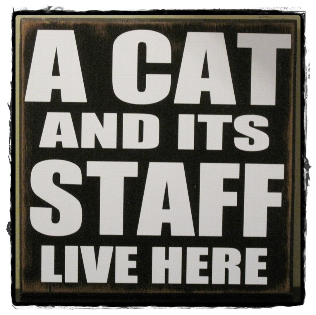 A Cat and It's Staff Live Here; Wood Sign, Vinyl Lettering, Custom, Cat ...