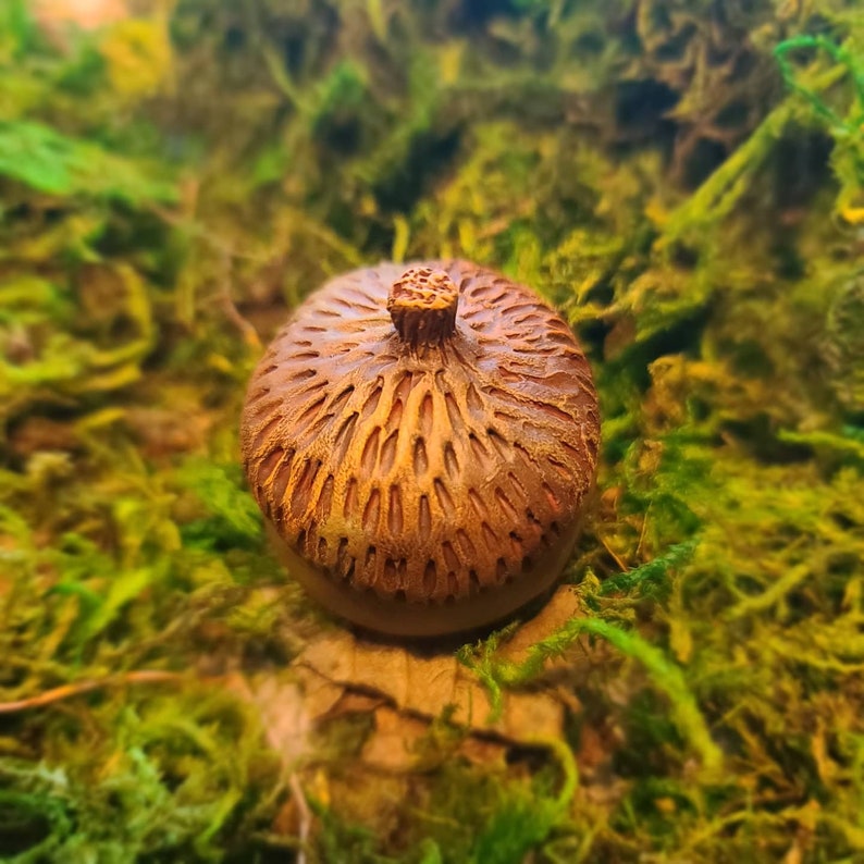 Po the Acorn, OOAK Polymer Clay Figurine, Art Collectible, Fantasy ...