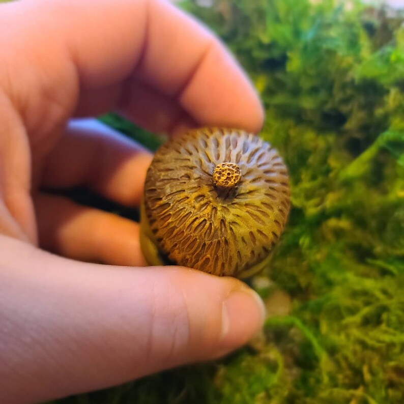 Po the Acorn, OOAK Polymer Clay Figurine, Art Collectible, Fantasy ...