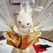 Vintage Mid Century Heavenly Angel Topper - Etsy