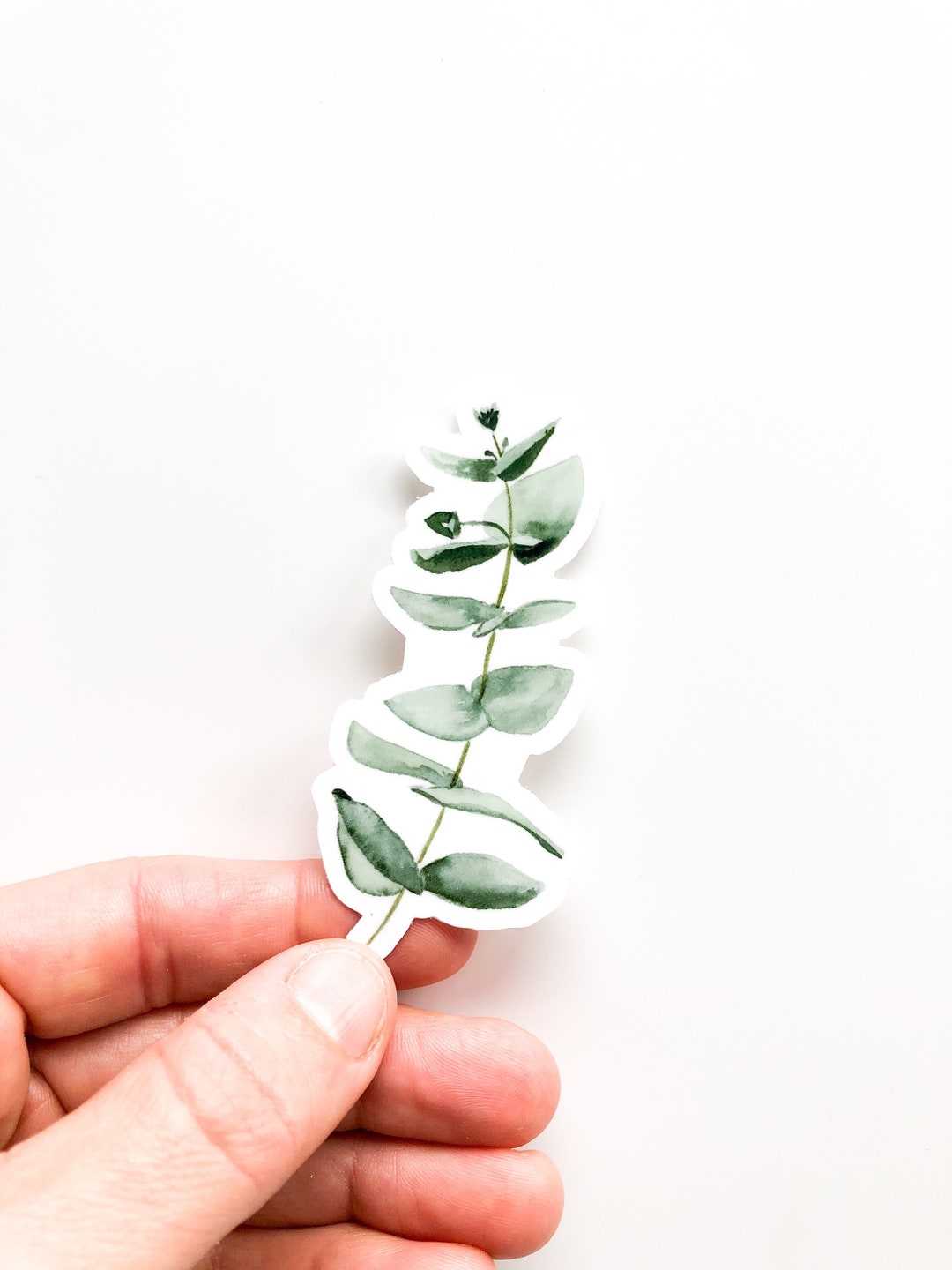 Plant Sticker Waterproof Vinyl for Water Bottle, Eucalyptus Sticker ...