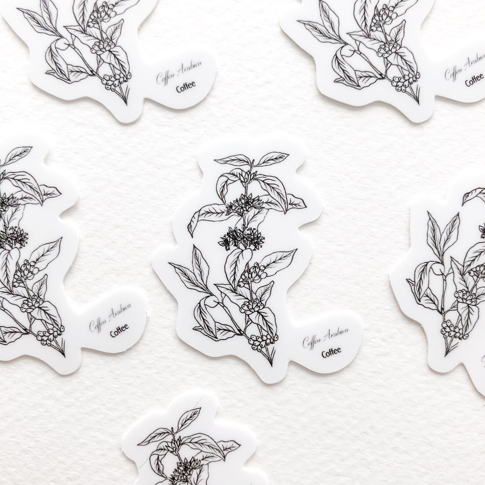 Coffee Stickers Vinyl Sticker Water Bottle Sticker Plant | Etsy