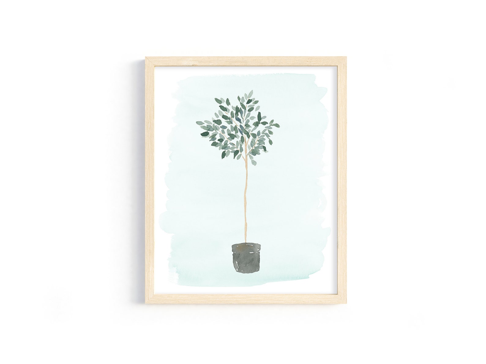 Olive Tree Print Olive Botanical Illustration Olive Tree | Etsy