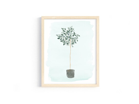 Olive Tree Print Olive Botanical Illustration Olive Tree | Etsy