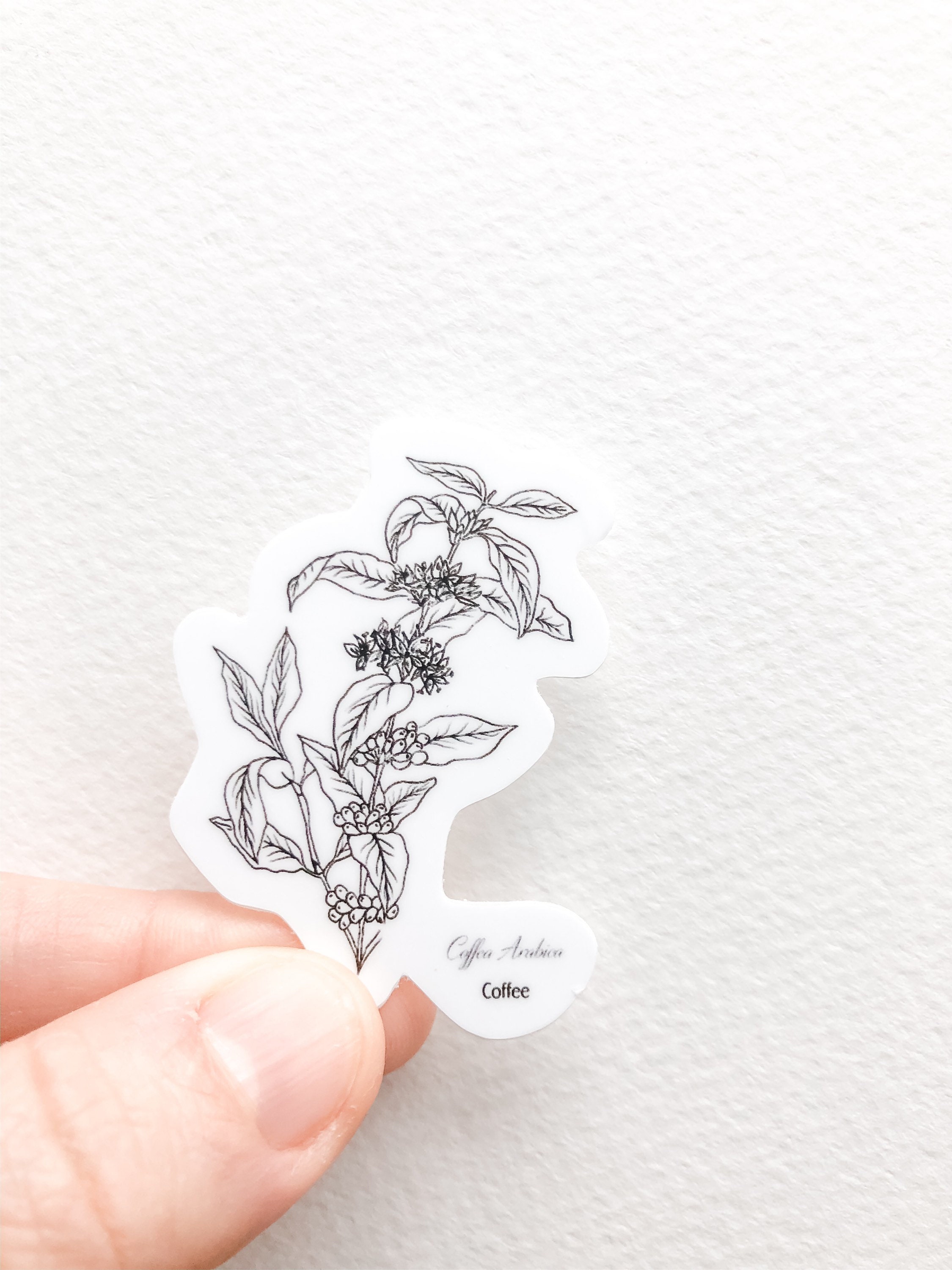 Sticker Pack Coffee Stickers Vinyl Sticker Water Bottle | Etsy