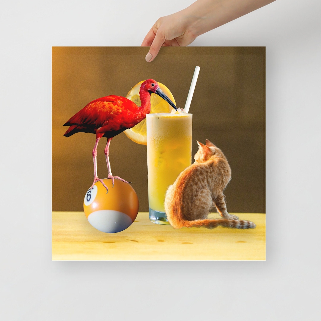 Colorful Home Bar Decor: Orange You Glad Surreal Collage Art Print With ...