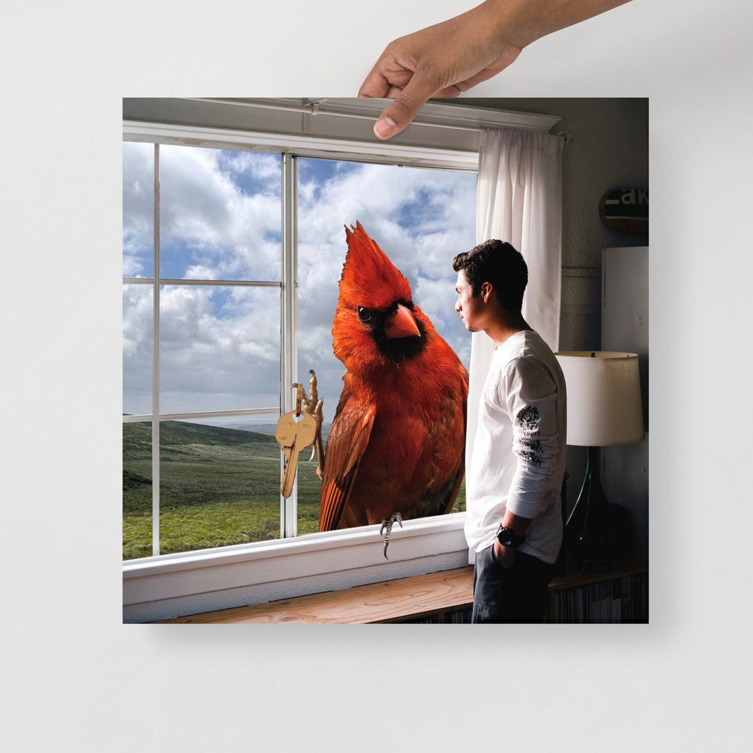 Surreal Bird Collage Art: little Birdie Told Me Moving on With Strength ...