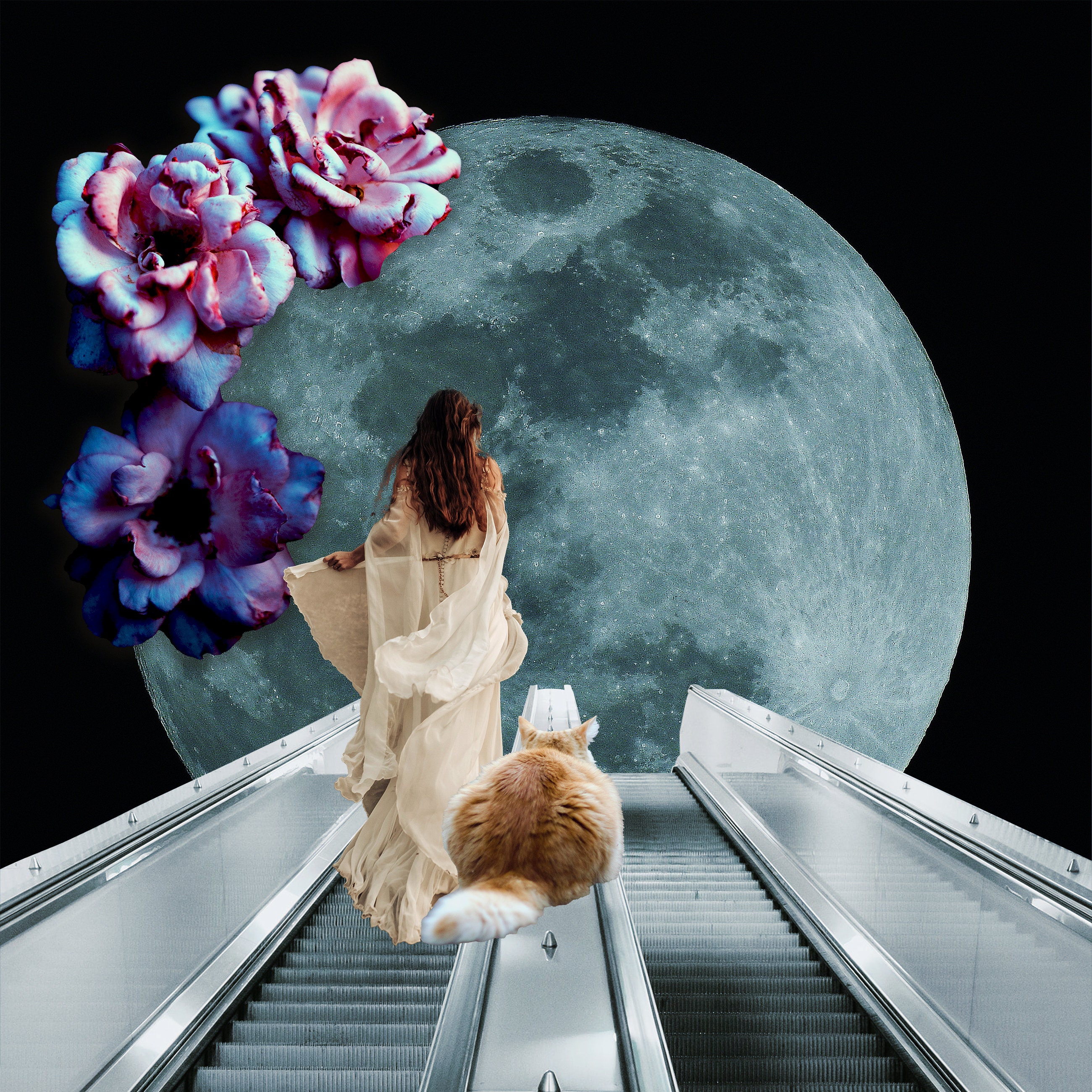 Whimsical Surreal Collage Art Print: Journey to the Moon With Cat and ...