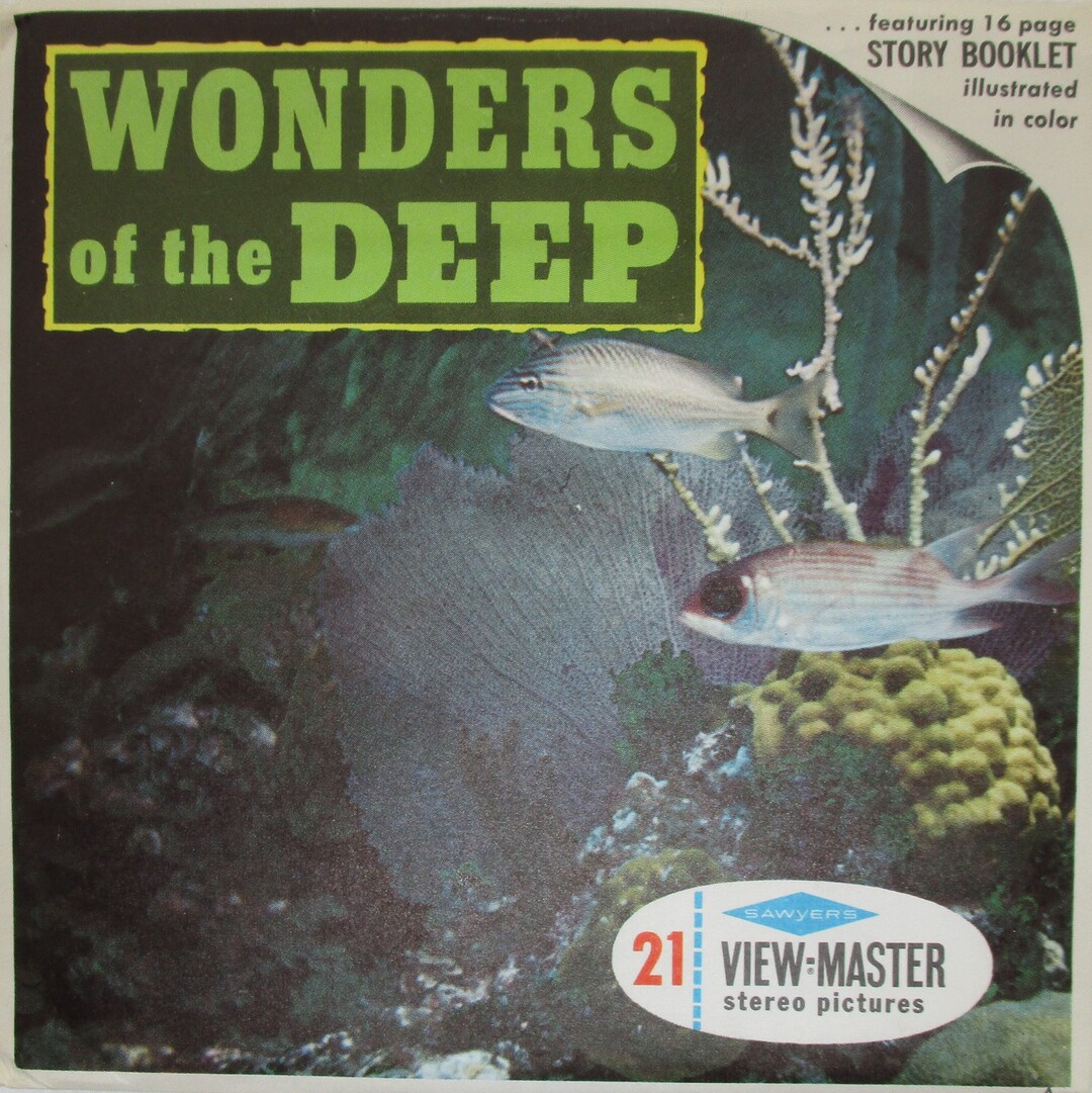 Birds, Fish & Insects View-master Reels - Etsy