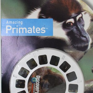 Animals & Dinosaurs View-master Reels - Etsy
