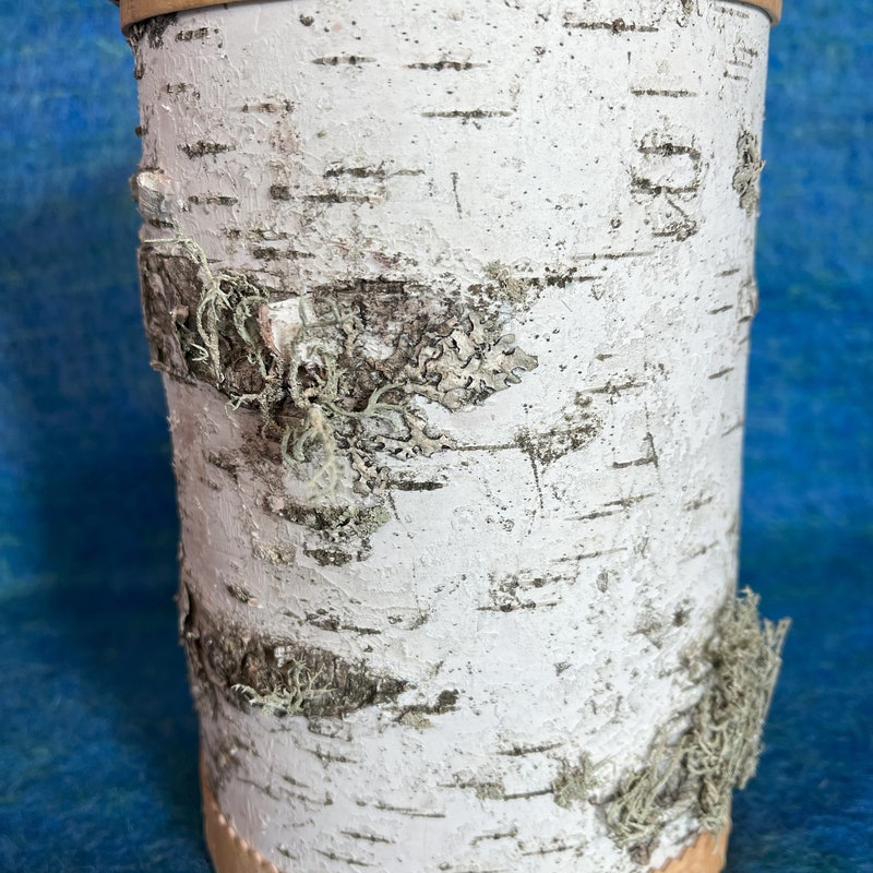 Birch Bark Vase - Etsy