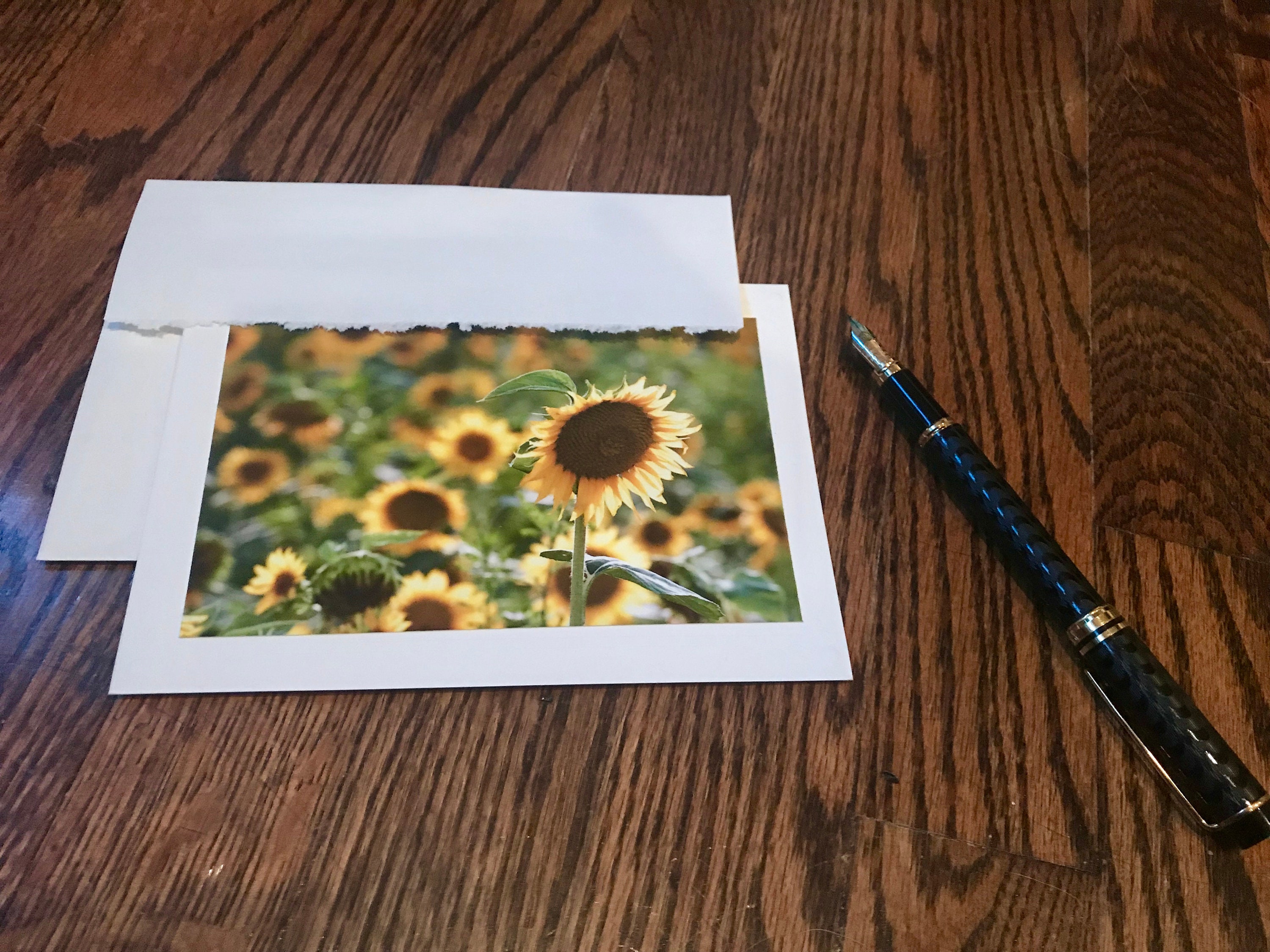 Handmade Photo Card Set. 4 Cards. Greeting Card, Beautiful Unique Gift ...