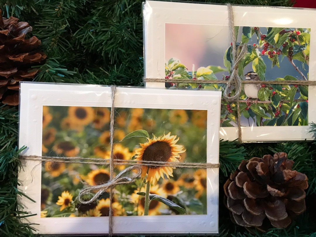 Handmade Photo Card Set. 4 Cards. Greeting Card, Beautiful Unique Gift ...