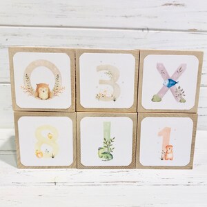 Alphabet Letter Blocks - Wooden Blocks - 6 Blocks - Letter and Numbers ...