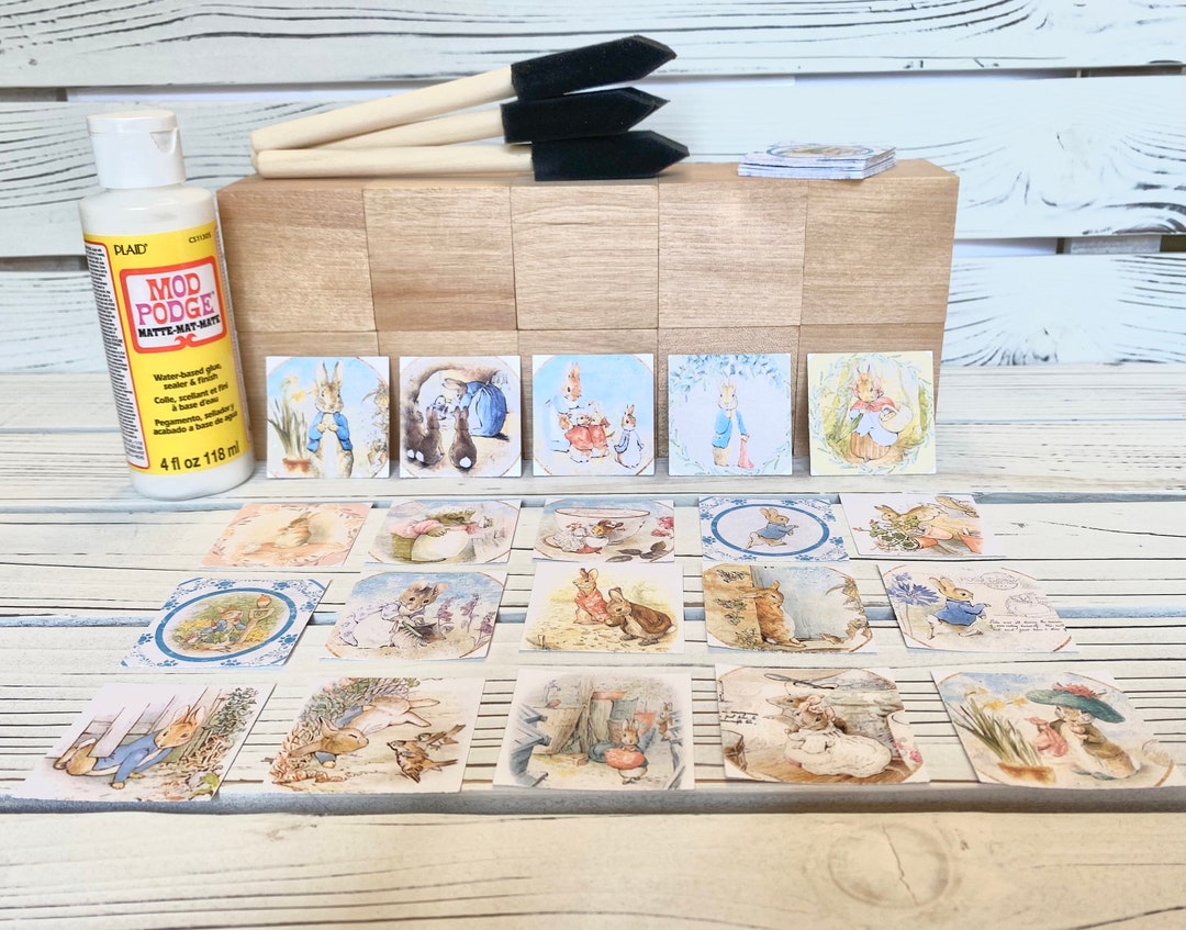 Beatrix Potter DIY Block Kit Baby Shower Activity Craft Centerpieces ...