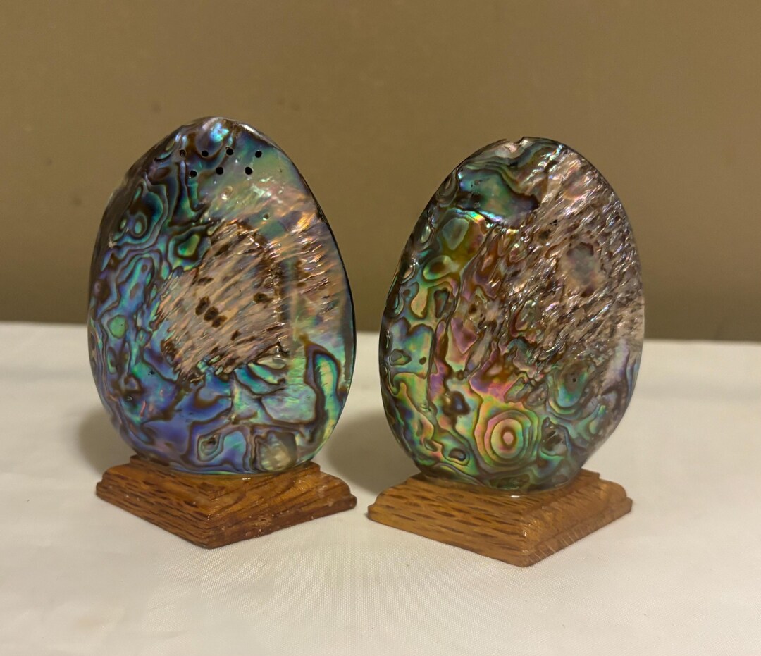 Vintage Paua Abalone Shell Salt and Pepper Shakers Set on Wood Base - Etsy