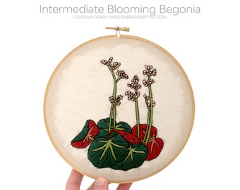 Fat Boy Cactus Mojave Desert Collection / Contemporary Hand | Etsy