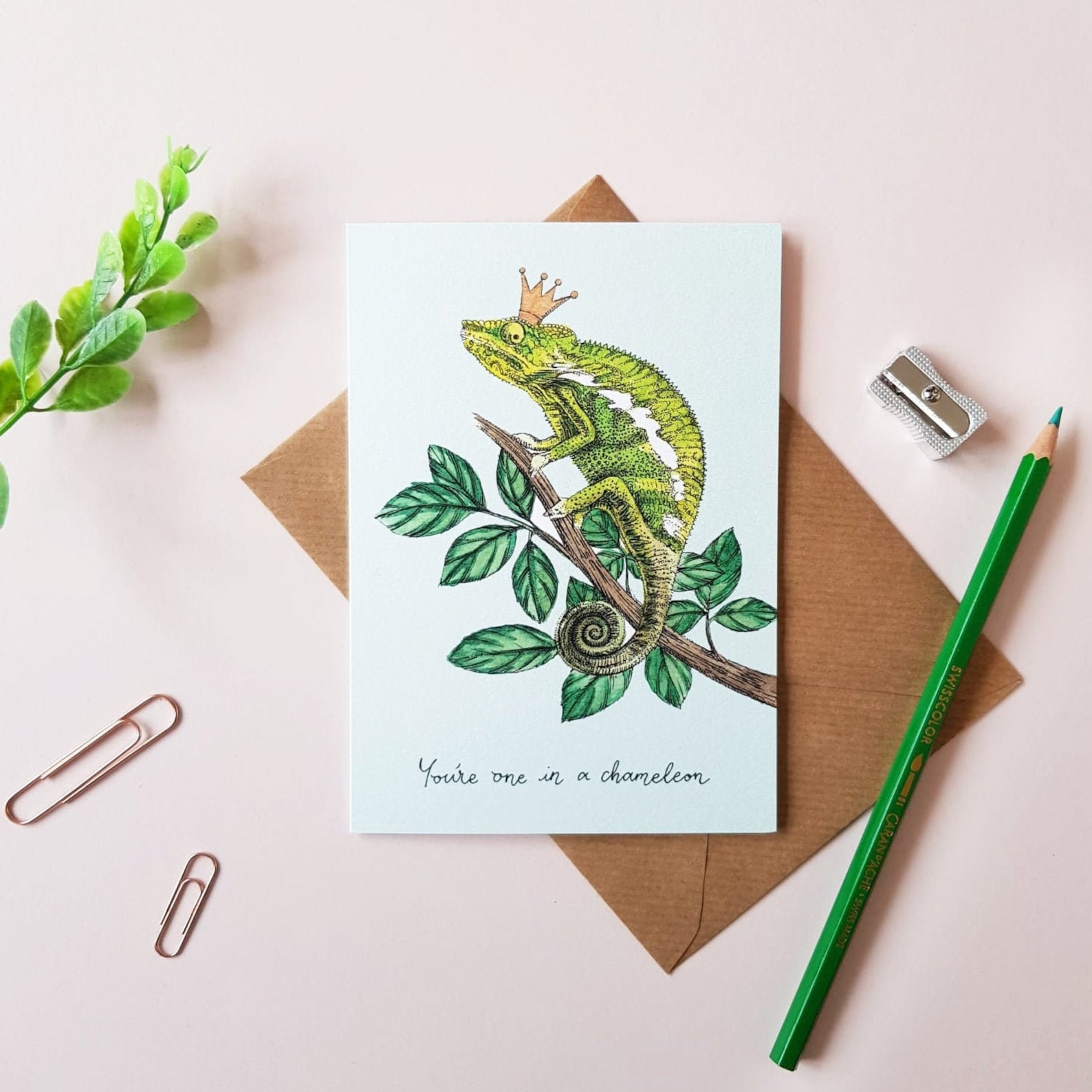 You're One in a Chameleon Greetings Card - Etsy