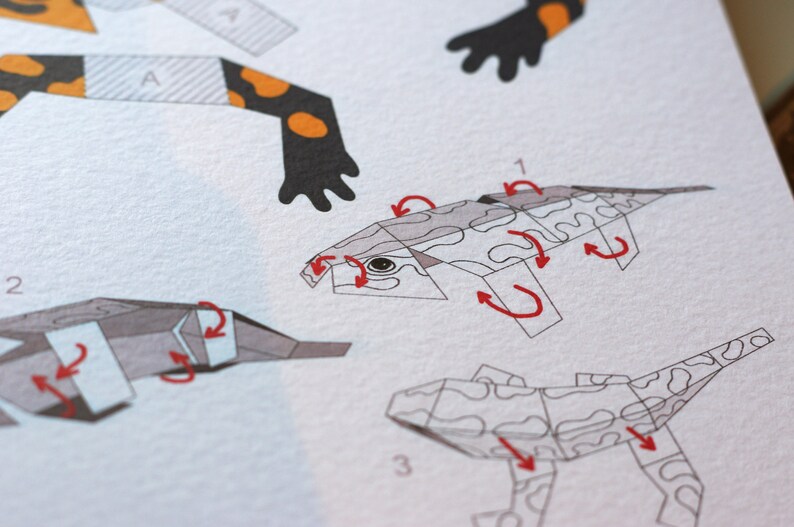 Salamander Papercraft Kit in Black and Yellow. DIY Salamander for ...
