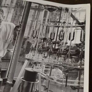 Vintage Industrial Photograph. Black & White. Men in Lab Setting. 1950s ...