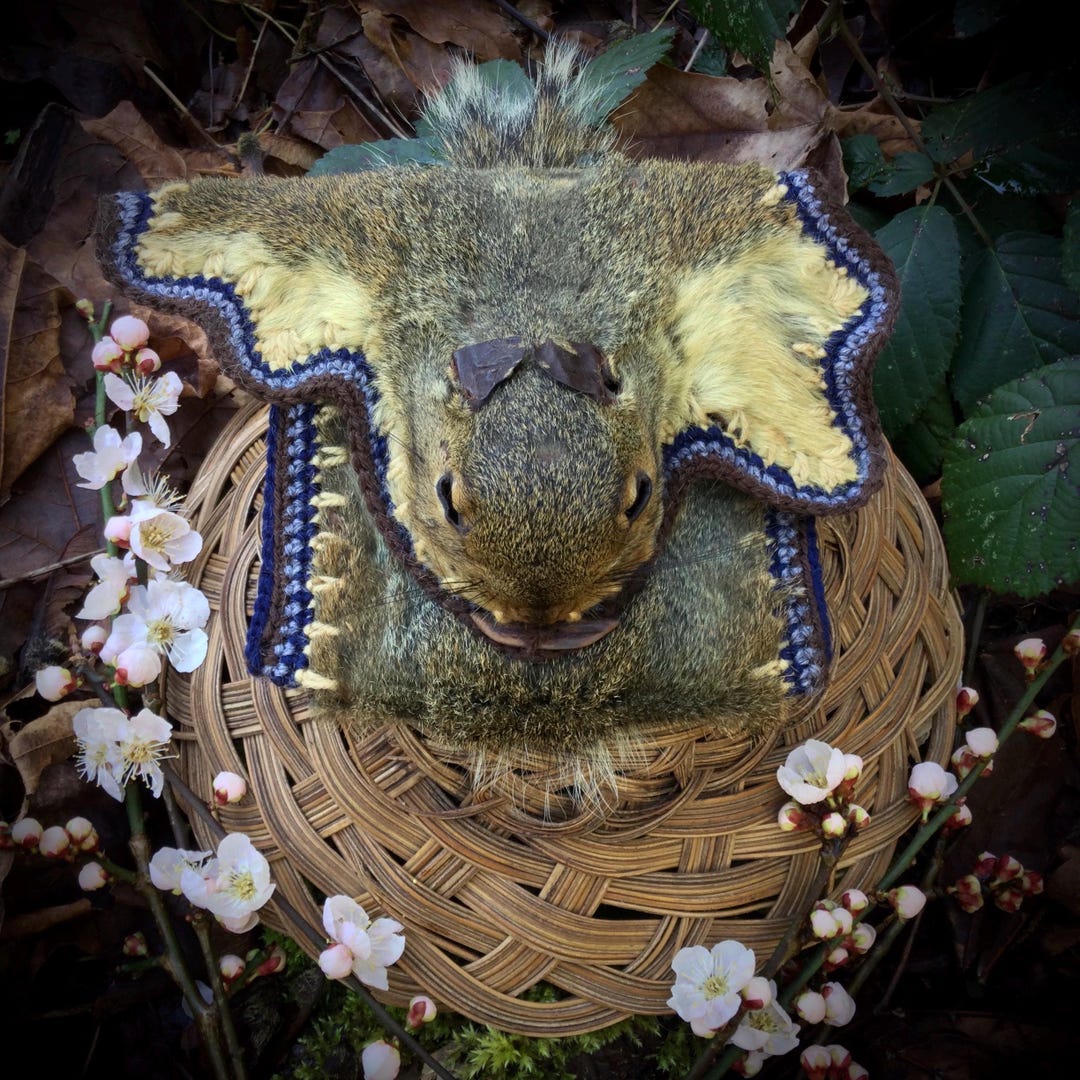 Roadkill Leather Squirrel Pouch, Veg Tanned, Natural Bark Tanned ...