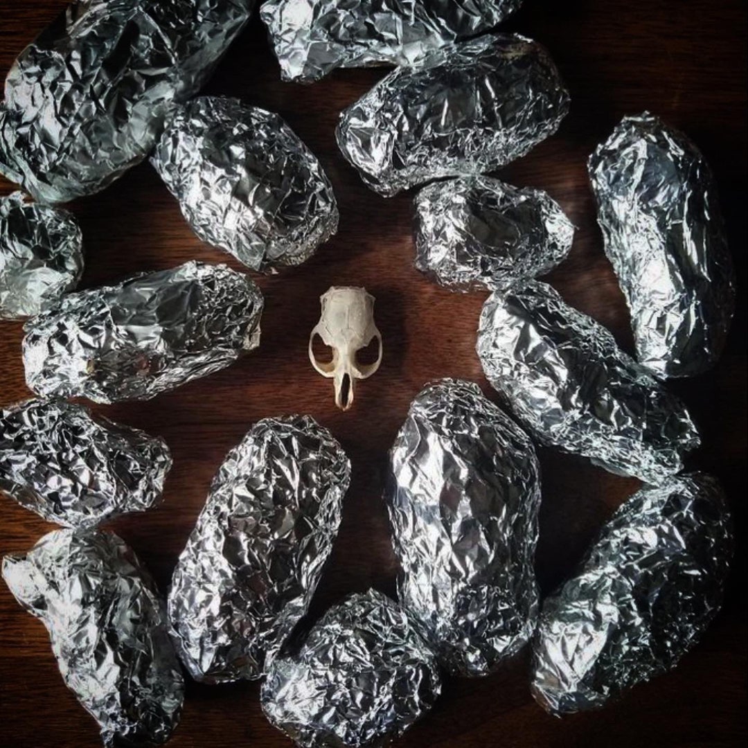 10 Large Owl Pellets, Forest Found, Heat Sterilized, Rodent Skulls ...