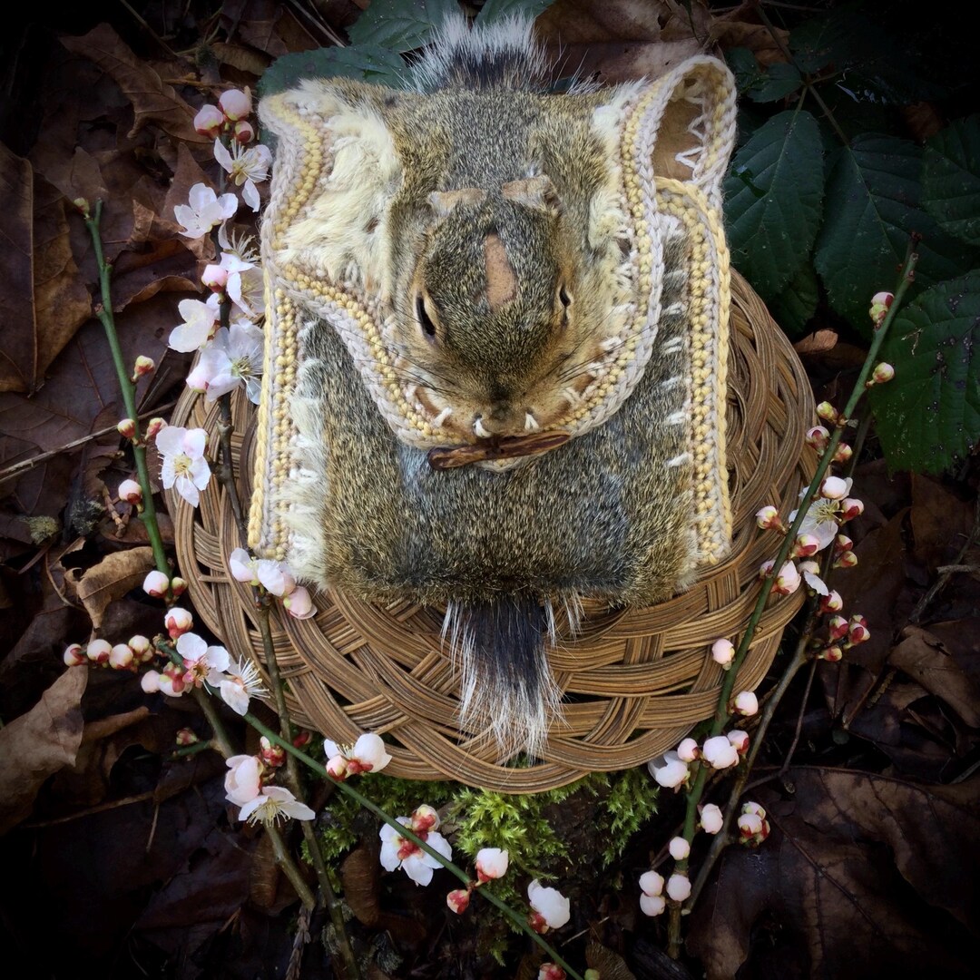 Roadkill Leather Squirrel Pouch, Veg Tanned, Natural Bark Tanned ...