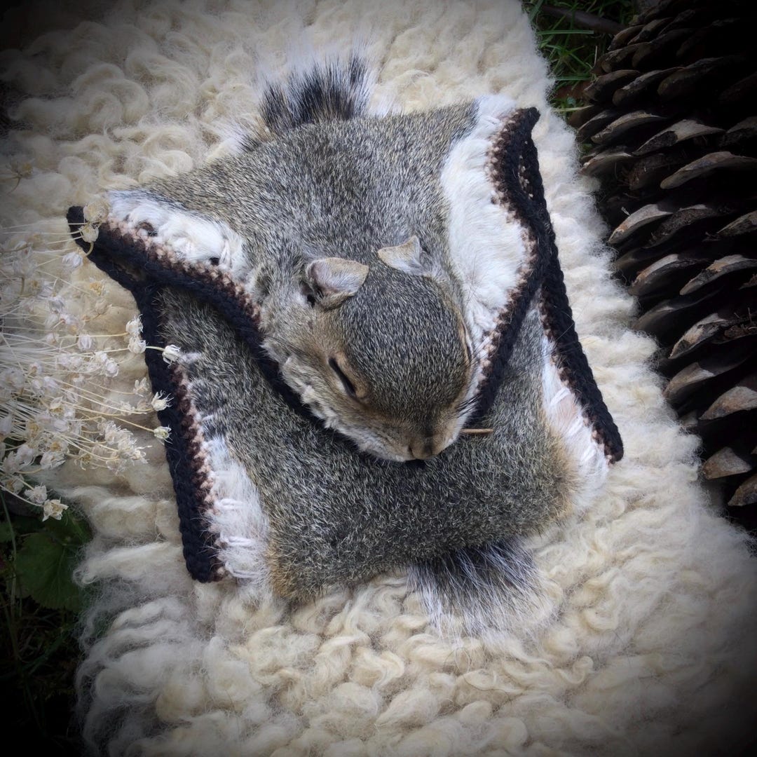 Roadkill Leather Squirrel Pouch, Veg Tanned, Natural Bark Tanned ...