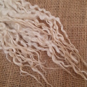 Natural Undyed White/cream Masham 9-13" 10g, Curly Wool Locks, Perfect ...
