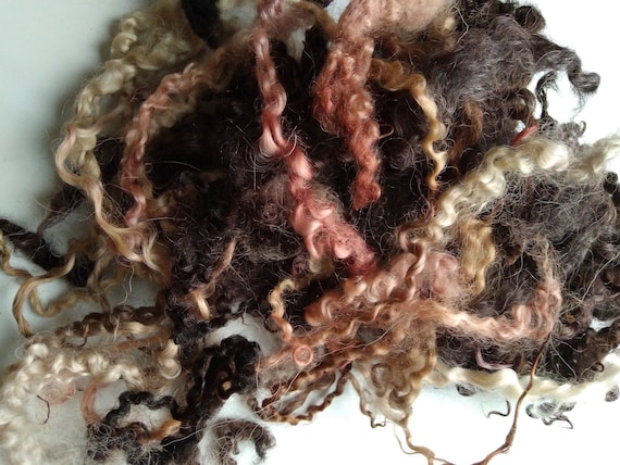 Black and Brown Curly Wool 6 Breeds of Curly Wool Sheep 100% | Etsy
