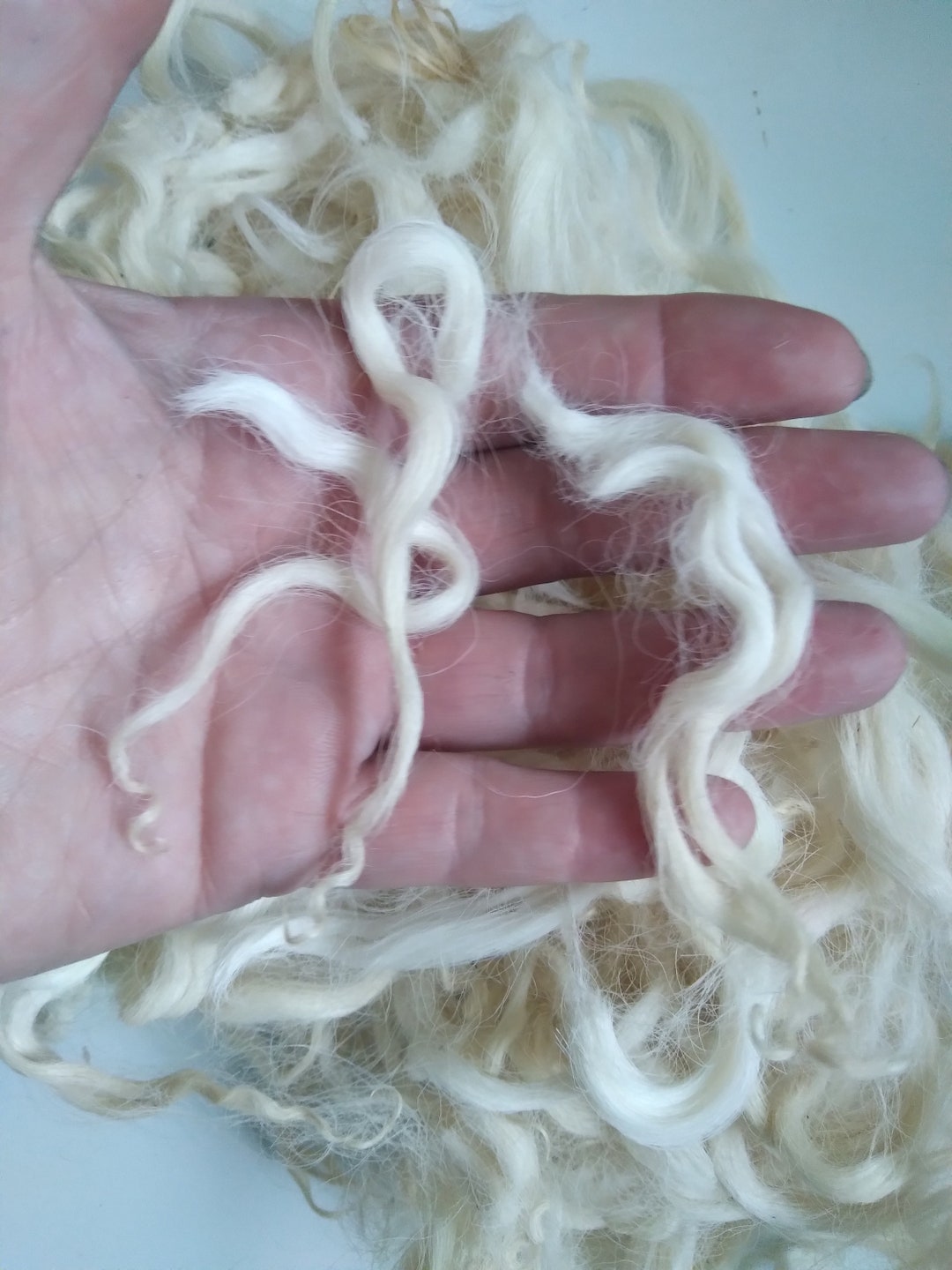 Natural Undyed Wavy Wool Fibre and Locks, Hand Washed, White and Cream 10g, Devon & Cornwall ...