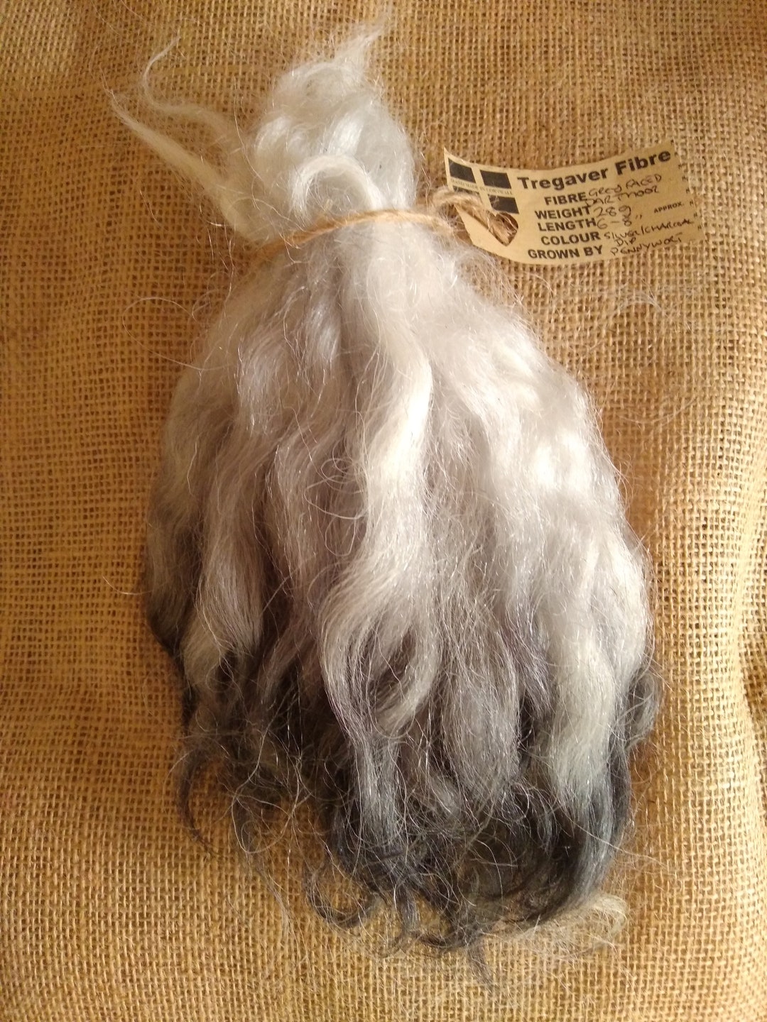 Grey Faced Dartmoor Wavy Wool Locks, Rare Breed Sheep Locks, Dip Dyed ...