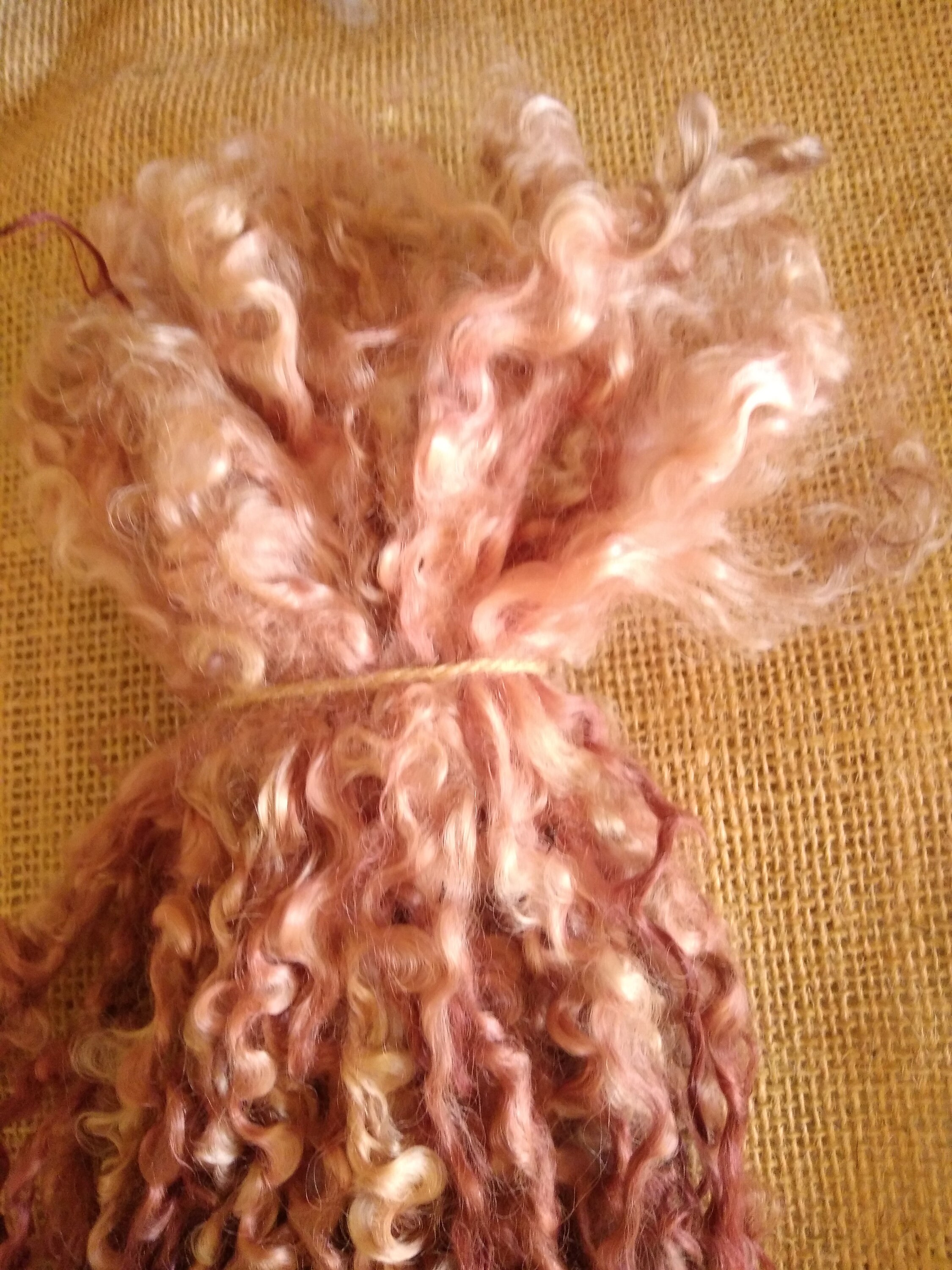 Autumn Heather Curly Wool Locks, (v) Teeswater 6-8" 28g/14g/7g Doll ...