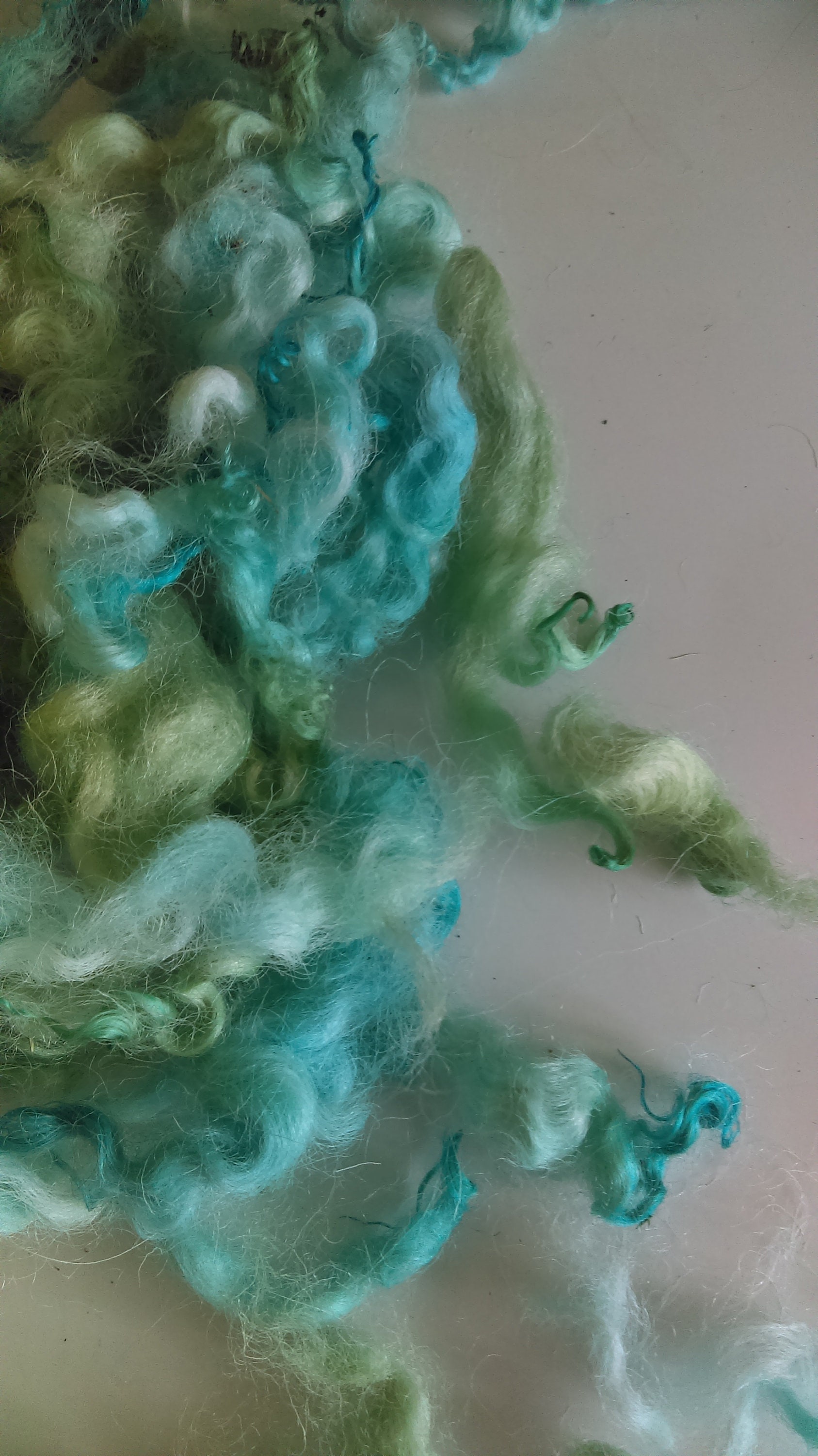 Green and teal mix curly wool loose fibre white faced | Etsy