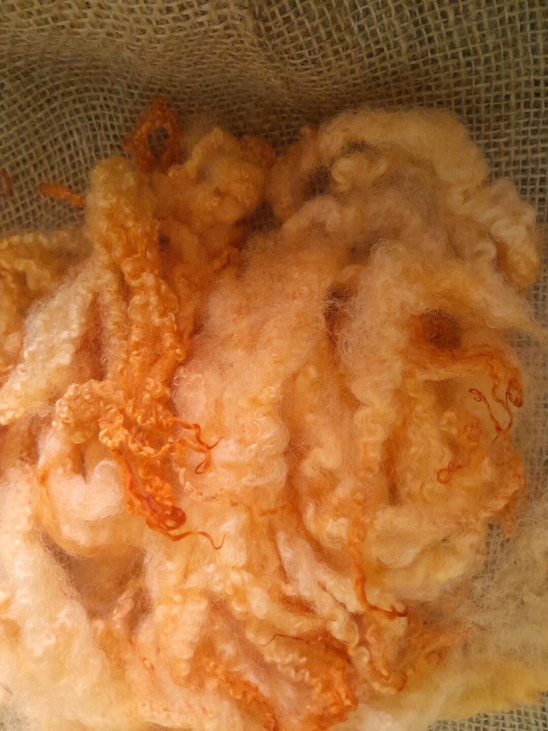 Blue Faced Leicester Sheep Wool Locks and Loose Locks, Hand Dyed in ...