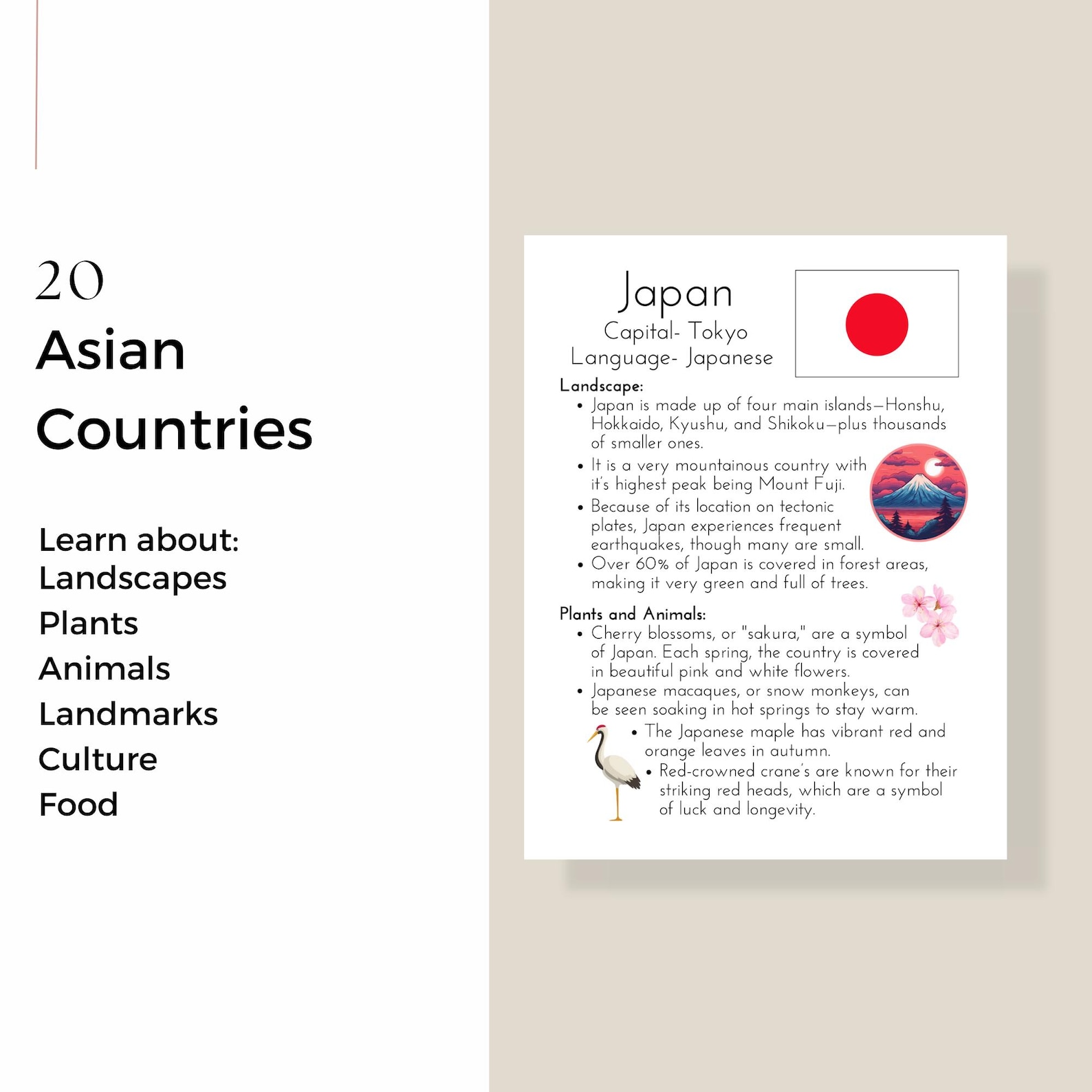 Asia Unit Study With Coloring Pages for Homeschool and Teachers Asian ...