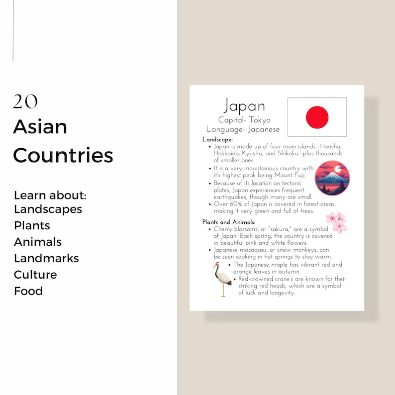 Asia Unit Study With Coloring Pages for Homeschool and Teachers Asian ...