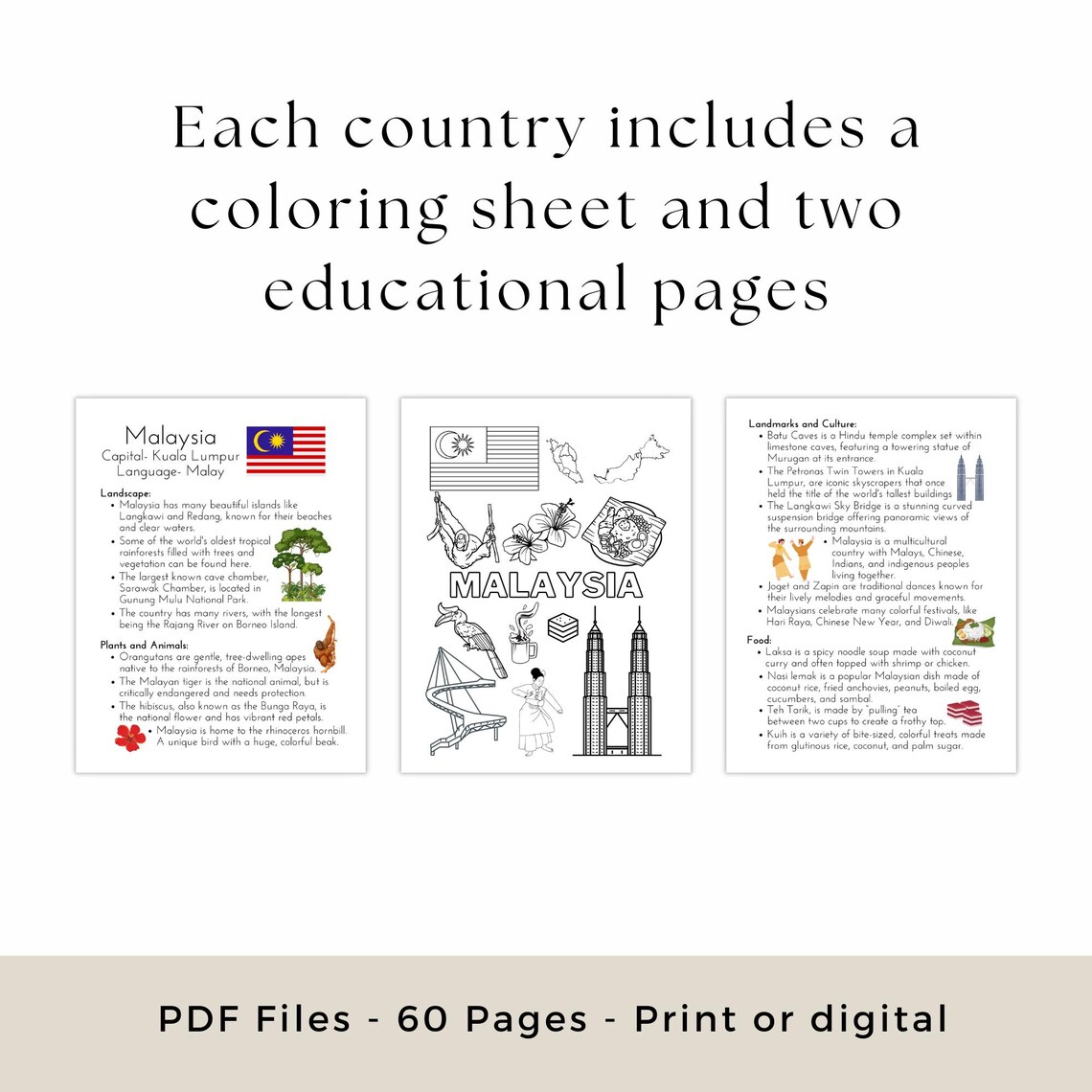 Asia Unit Study With Coloring Pages for Homeschool and Teachers Asian ...