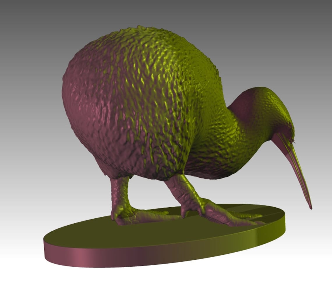 Kiwi - the Flightless Kiwi Bird. Digital Download for 3D Printing - A ...