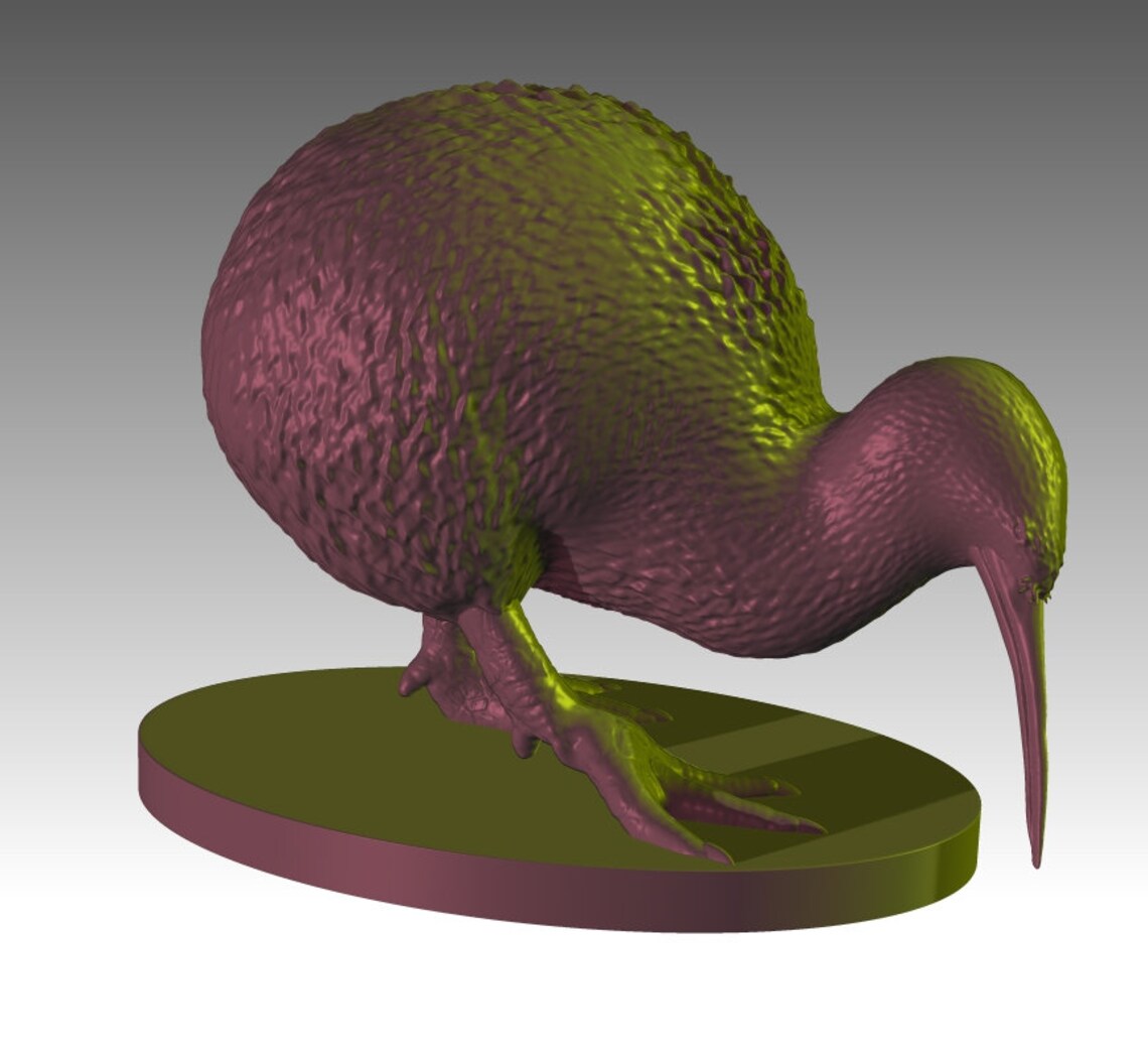 Kiwi - the Flightless Kiwi Bird. Digital Download for 3D Printing - A ...