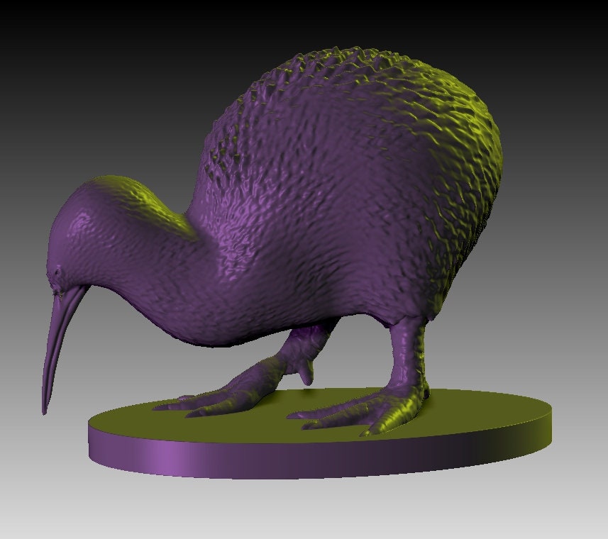 Kiwi - the Flightless Kiwi Bird. Digital Download for 3D Printing - A ...