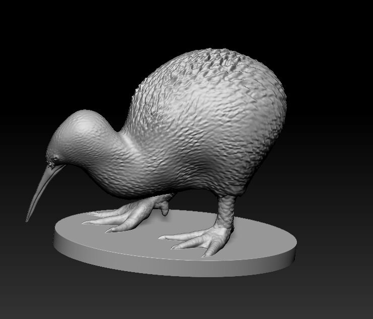 Kiwi - the Flightless Kiwi Bird. Digital Download for 3D Printing - A ...
