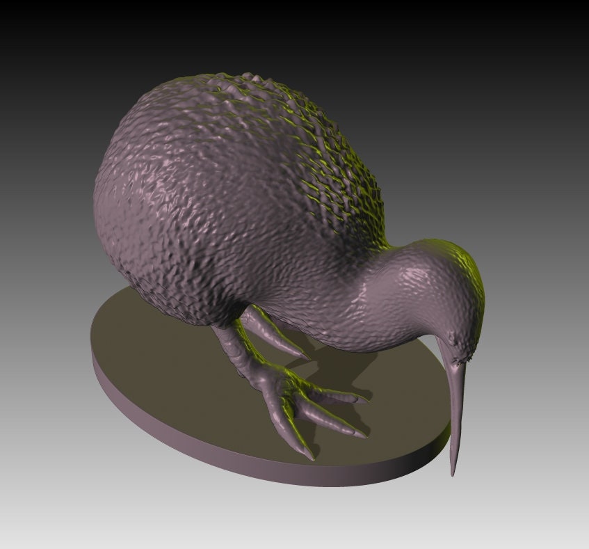 Kiwi - the Flightless Kiwi Bird. Digital Download for 3D Printing - A ...