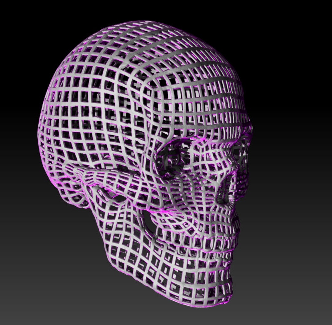 Skull - A Wire Mesh Skull. - Etsy