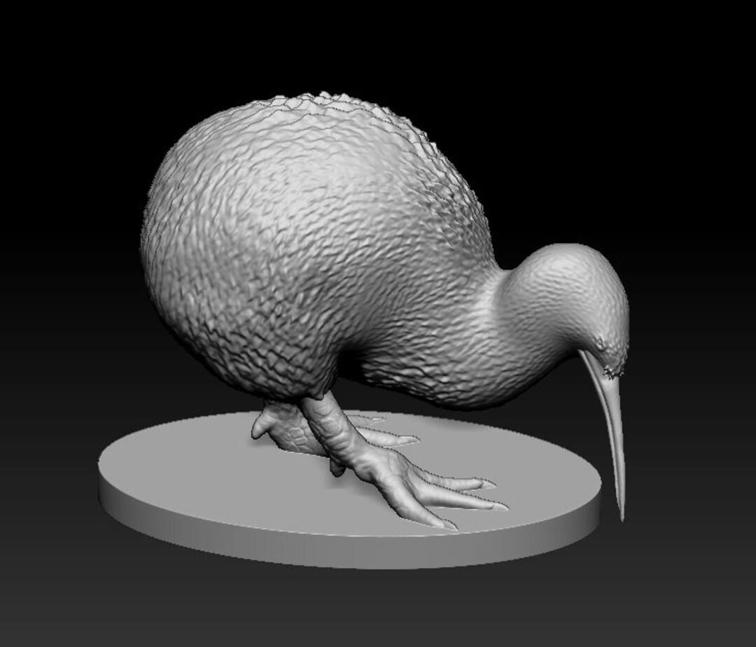 Kiwi - the Flightless Kiwi Bird. Digital Download for 3D Printing - A ...