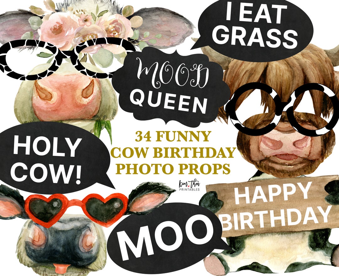 34 Cow Birthday Photo Props | Holy Cow First Birthday Photo Props ...