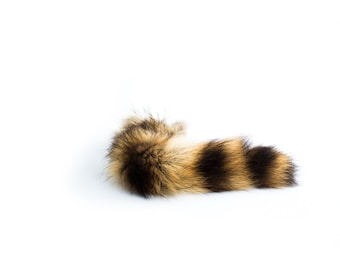 Raccoon Tails Raccoon Tail Keychain Taxidermy Keychain Raccoon Tail ...