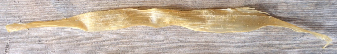 Real Natural Dried Deer Sinew - Etsy