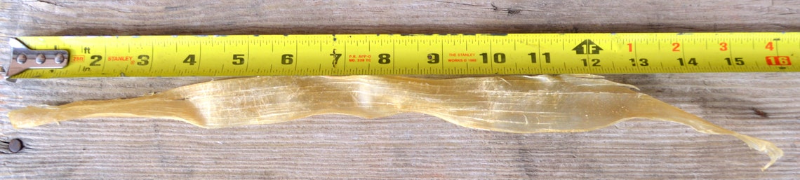 Real Natural Dried Deer Sinew - Etsy